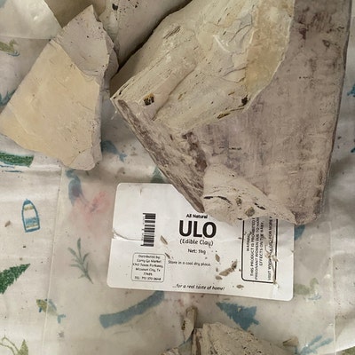 Goron Tula/snot Apple/tree Hibiscus/thespesia/silky Kola - Etsy