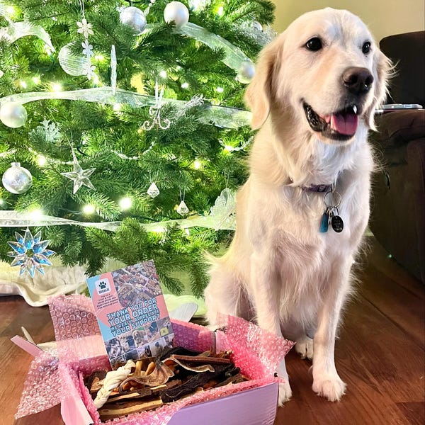 Dog Treat Box, (MEATY) Specialty Gourmet Treats, Birthday, Gotcha Day ...