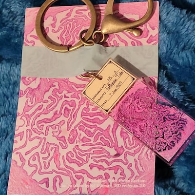 Pyramidal Neuron Microscope Slide Printed Keychain, Microscopy Keychain ...