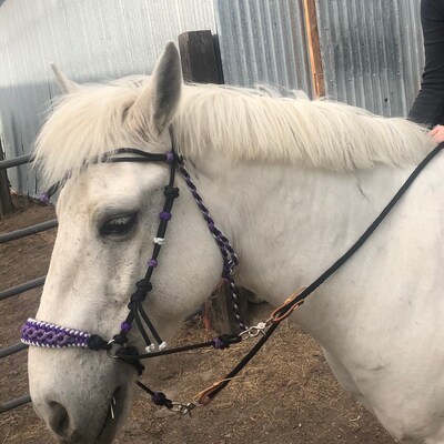 SUNFLOWER Knotted Soft Indian Hackamore Bitless Bridle Sunflower ...