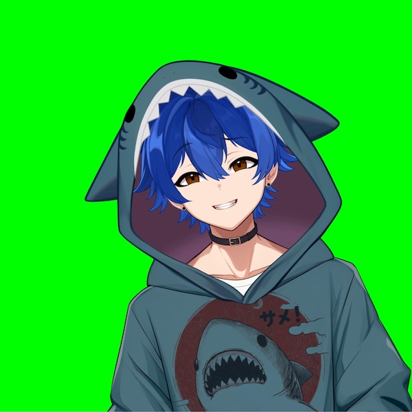 Premade Vtuber:moonrock Merc Boy With Shark Hoodie Toggle,rigged Live2d ...