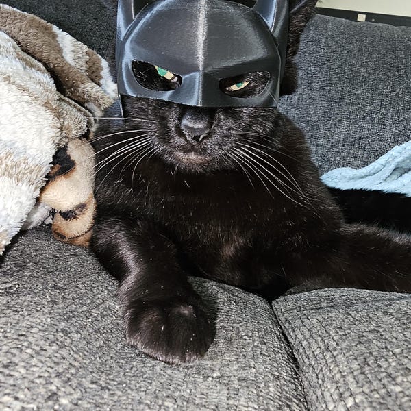 Atomic Fallout Bimbus Cat Helmet - Etsy