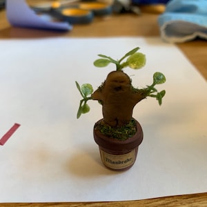 Baby Mandragora Miniature Caution - Etsy