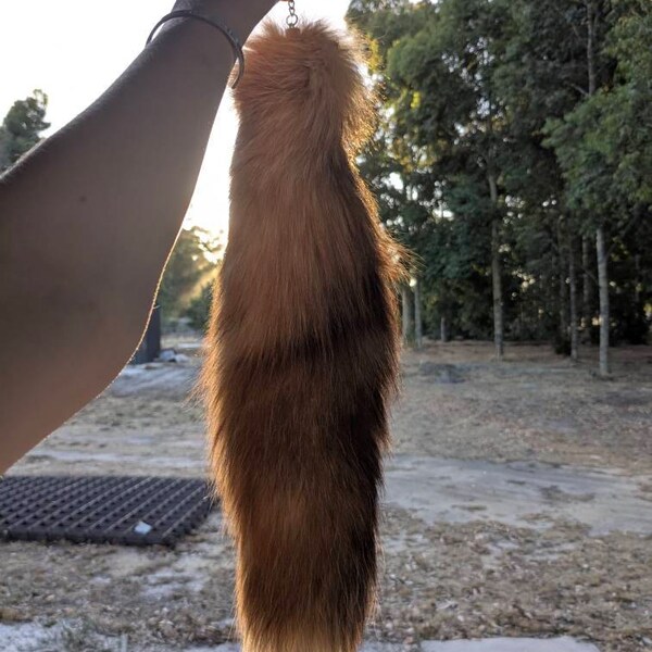 XL Smokey Red Fox Tail (XL and Regular Size), Real Fox Tail, Tails for ...