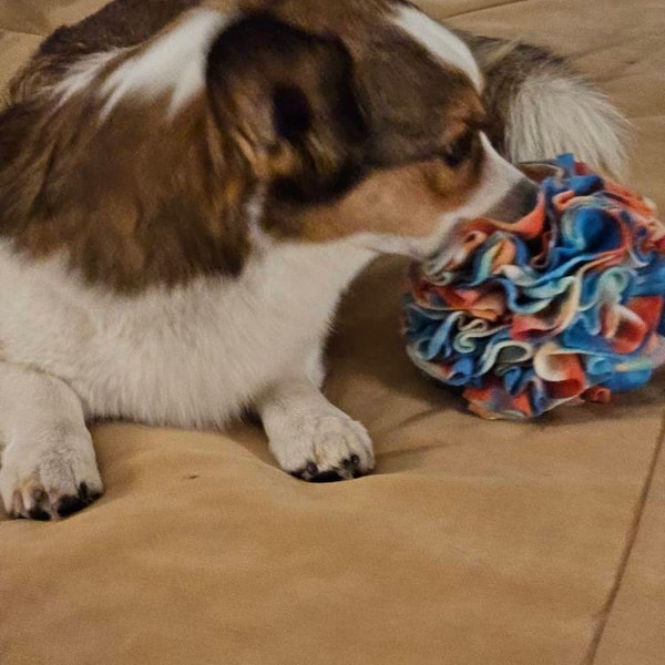 Snuffle Ball, Treat Dispenser, Treat Ball, Canine Enrichment, Keep Dogs ...