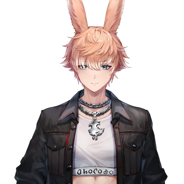 Custom Anime Male Vtuber Model: Rigging & Character Design - Etsy