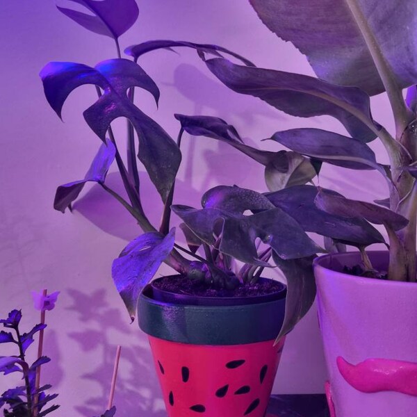Pink Terracotta Pot With Hearts | 13 Cm | Planter With Drainage Hole ...