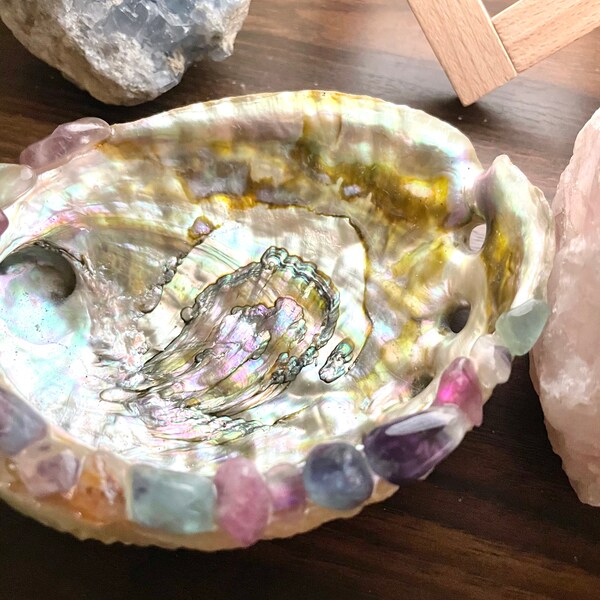 Guamo & Tree Frog in Conch Shell Stickers - Etsy