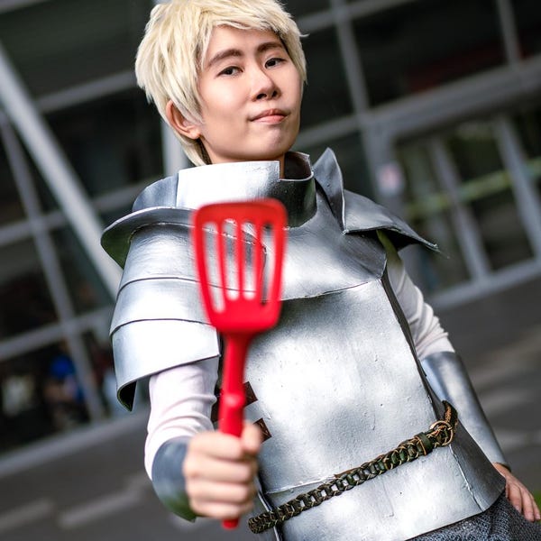 Laios Touden Digital Cosplay Armor Pattern Delicious in Dungeon - Etsy