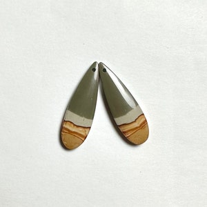 Rare Quality Beautiful Opal Petrified Wood Pairs for Earring Jewelry - Etsy