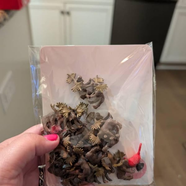 Set of Miniature Buffalo - Mini Buffalo - Bison - Terrarium Supplies ...