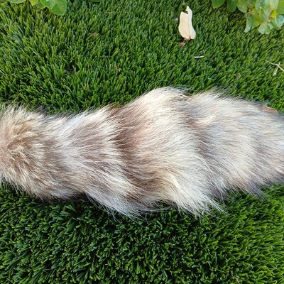 Coyote Pelt Fur Mantle With Black Deerskin - Etsy