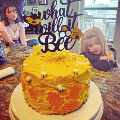 Sugar Bees / 12 Bumble Bee Sugar Pieces /sugar Bee Cupcake Toppers ...