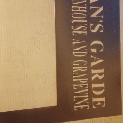 Super Blue Liriope, Liriope Super Blue - Etsy