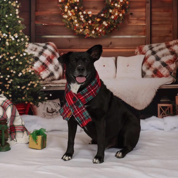 Dog Scarf Winter Fleece Dog Scarf, Red Buffalo Check Dog Scarf ...