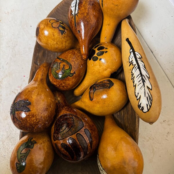 GOURDS 25 Jewelry / Tenn. Spinner Gourds ( Dried & Cleaned ) - Etsy