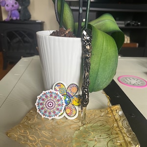 A Little Pot From Colorado Party Favors Gag Gift Pack of 10 - Etsy