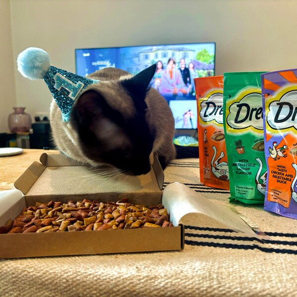 Personalised Cat Treat Box | Cat Gift Box | Letterbox Cat Treats ...