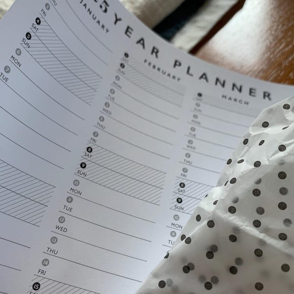 2025 Narrow Portrait Year Planner - 2025 Wall Calendar - Monthly ...