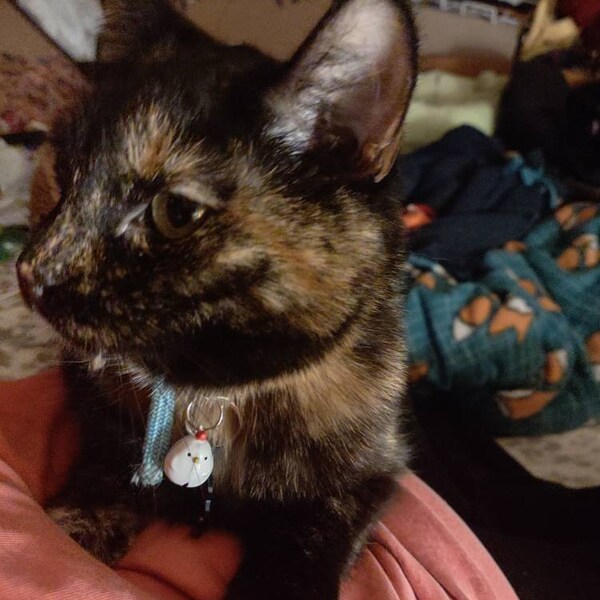 Cat Bells - Special Character Jingle Bells - Cat Collar Bells - Extra ...