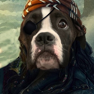 Custom Pirate Pet Portrait Classic Pet Portrait Custom Pirate Portrait ...