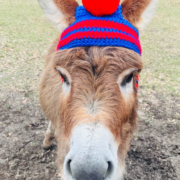 Two-color Hat - Mini Donkey - Etsy