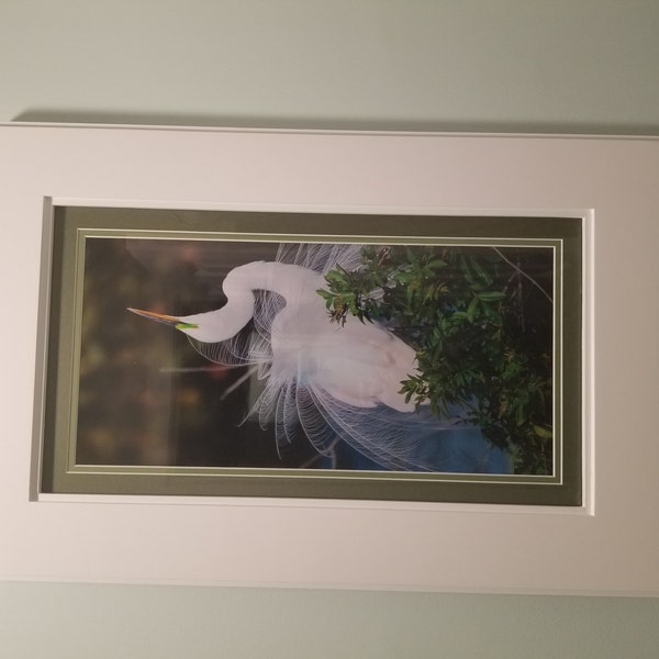 Roseate Spoonbills, Bird Photography, Florida Photography, Nature Print ...