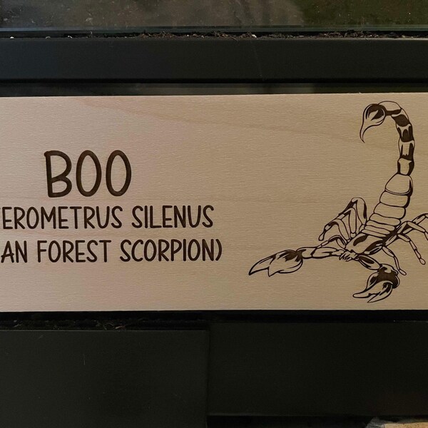 Axolotl Name Sign, Axolotl Tank Decor, Axolotl Tank Accessories ...