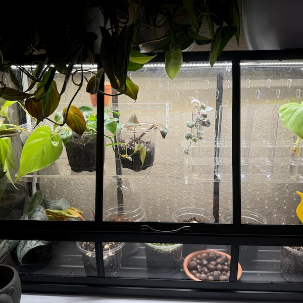 AKERBAR Desktop Greenhouse (25in) Pegboards and SKADIS Accessories for ...