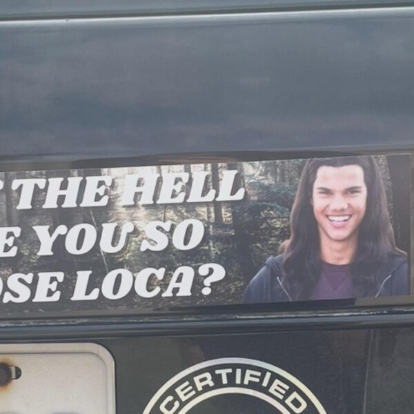 Michael Jackson Thriller Halloween Bumper Sticker | Dancing Raccoon ...