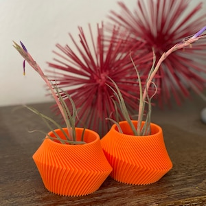 Modern Geometric Patterned Planter 3D Printed Air Plant Holder ...