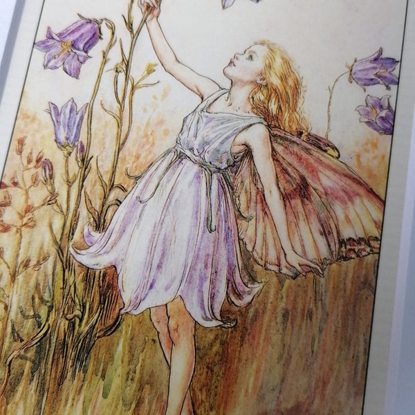 Royal Worcester Flower Fairies of the Spring, Crocus Fairy Plate ...