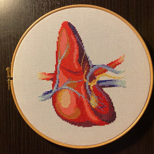 Liver Anatomy Cross Stitch Pattern and Kit Modern Needlework Art PDF ...