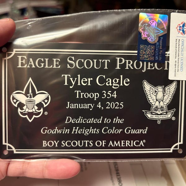 BSA Licensed AOL Den Leader Cub Scouts Plaque With Rank Insignia and ...