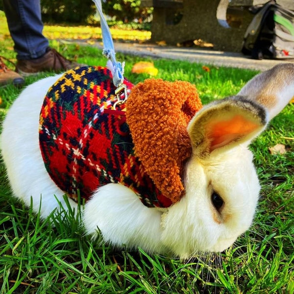 Autumn Ginkgo Wool Short Dress, Pet Bunny Dress/harness, Rabbit ...