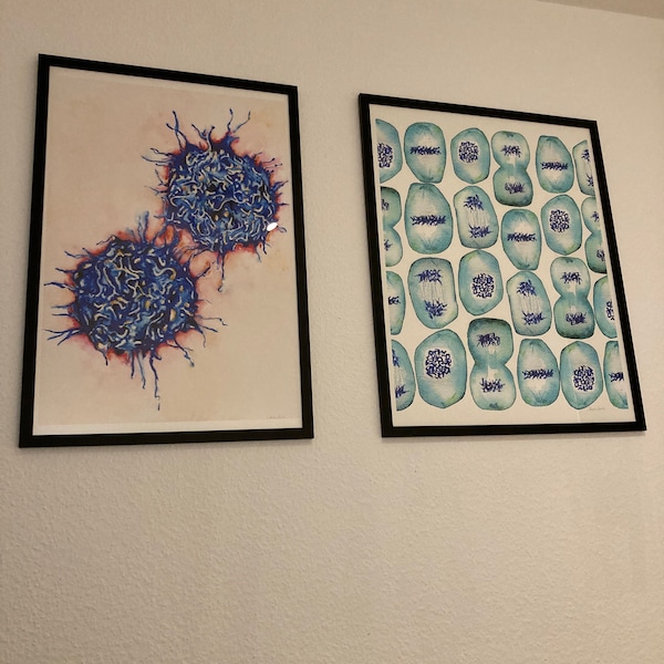 Mitosis, Watercolor Print, Science, Mitosis, Biology Art, Science Print ...