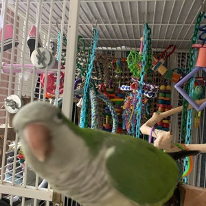 5 Feet High Quality 3mm Plastic Chain for Craft, DIY Bird Toys, Sugar ...