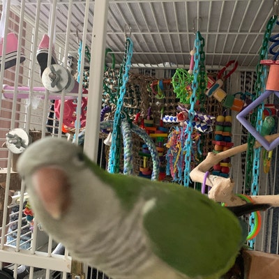 5 Feet High Quality 3mm Plastic Chain for Craft, DIY Bird Toys, Sugar ...