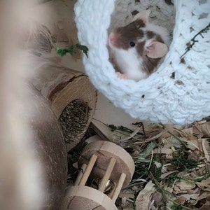 Rat Name Cage Decal for Rat Cage Custom Sign for Rat Cage Accessory for ...