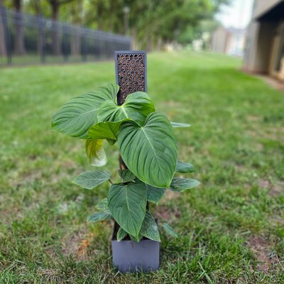 Stacker Adapter Stack Standard Tower on Top of XL Tower - Etsy