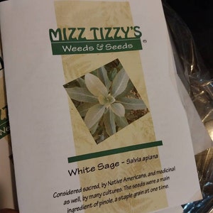 Cherokee, North Georgia Candy Roaster Squash . Cucurbita Maxima - Etsy