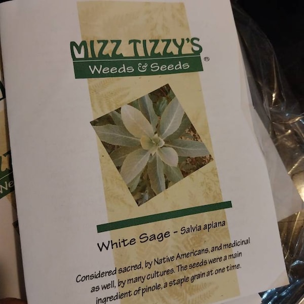 Cherokee, North Georgia Candy Roaster Squash . Cucurbita Maxima - Etsy