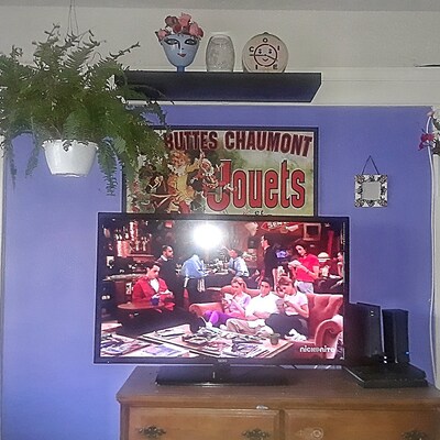 15 Fresh Flower Seeds Texas Star Swamp Hibiscus Large Red Flowers ...