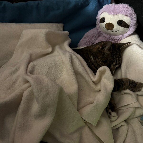 Nido Cat Bed Covers - Etsy