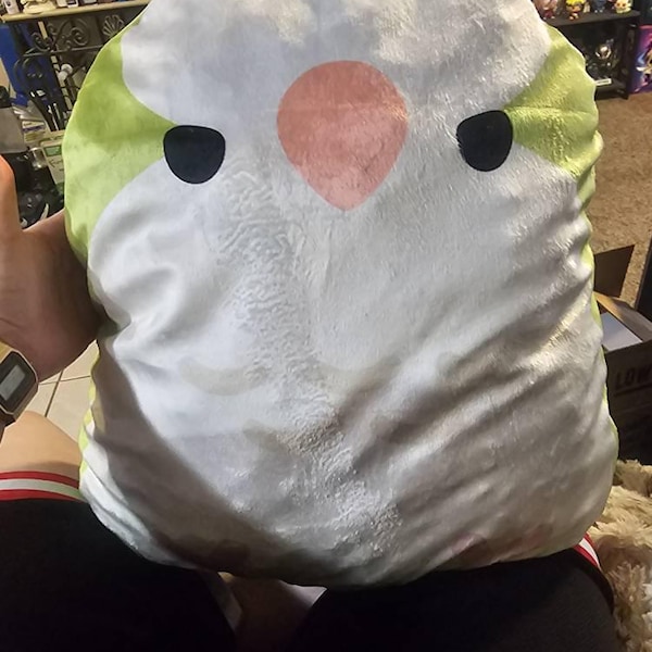 Birb Seat Pillow Case (**stuffing is Not Included, You Need to Get ...