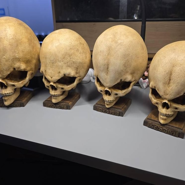 Human Skull Ornament | Unique Skull Decor | Gothic Decoration, Bone Art ...