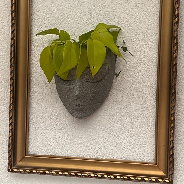 Handmade Human Face Wall Planters - Creative Plant Display - Face Plant ...