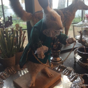 Taxidermy Rat Rasta Taxidermy Anthropomorphic Rat Curiosity - Etsy