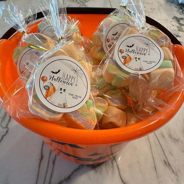 Custom Halloween Party Stickers INCLUDES BAGS, Personalized School ...