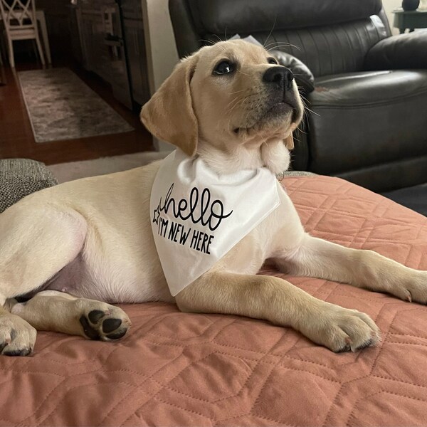 Hand Painted Banners, Birthday Banner, Personalized Banner, Event ...